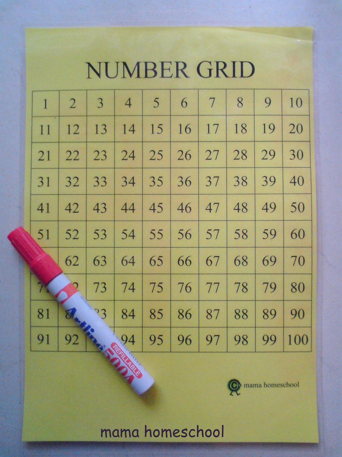 Mama Homeschool: Teaching Math with a Number Grid.