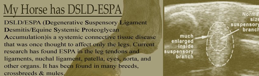 My Horse has DSLD-ESPA| DSLD Blog| DSLD Info