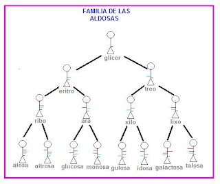 LA VIDA SIN TU AMOR NO ES NADA: FAMILIA DE LAS ALDOSAS