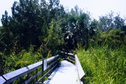 Sherwin-Halle: PAGET MARSH BERMUDA