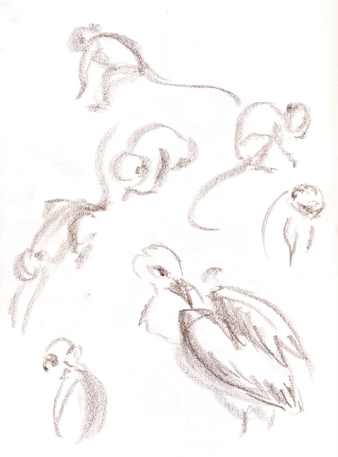 ART is FuN! =^.^=: Oakland Zoo Animal Quick Sketches