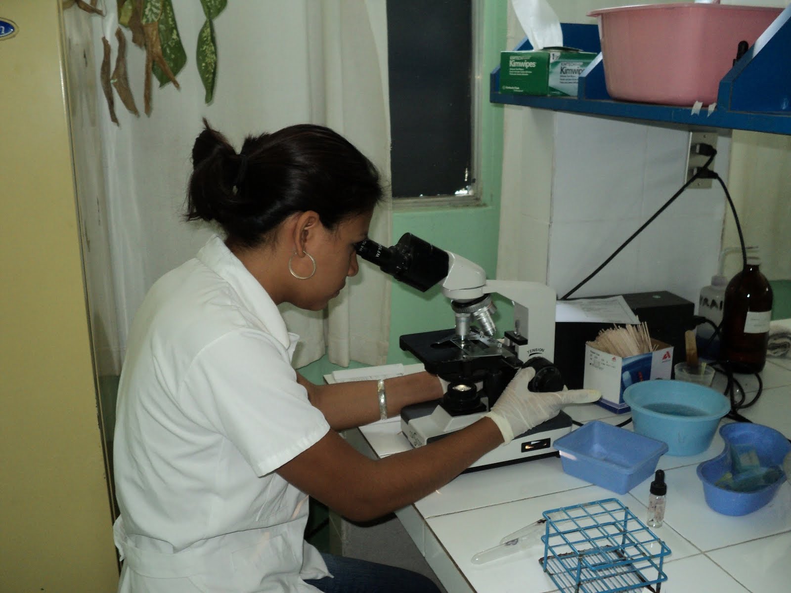 QUIMILAB: COPROLOGIA