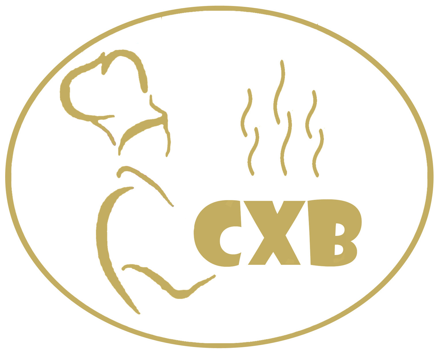 Start a Healthy Life Today....: Launching LOGO for my Business