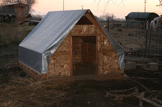 The Dalan Farm: How to build a hog hut and other random things