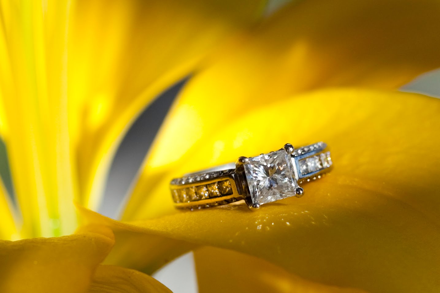 Tara Rowley Photography