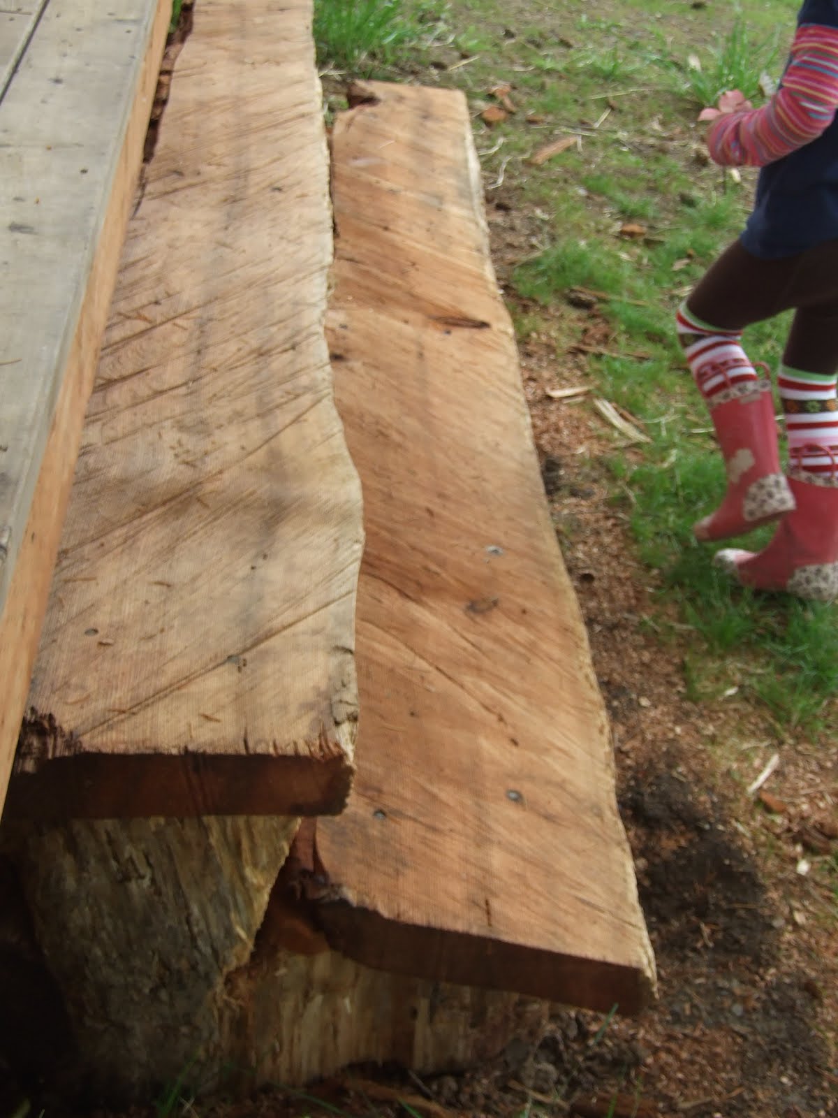 Willow Farm: 6/27/10 - 7/4/10