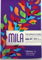 Stephanie V. Straeter, Ph.D. Health