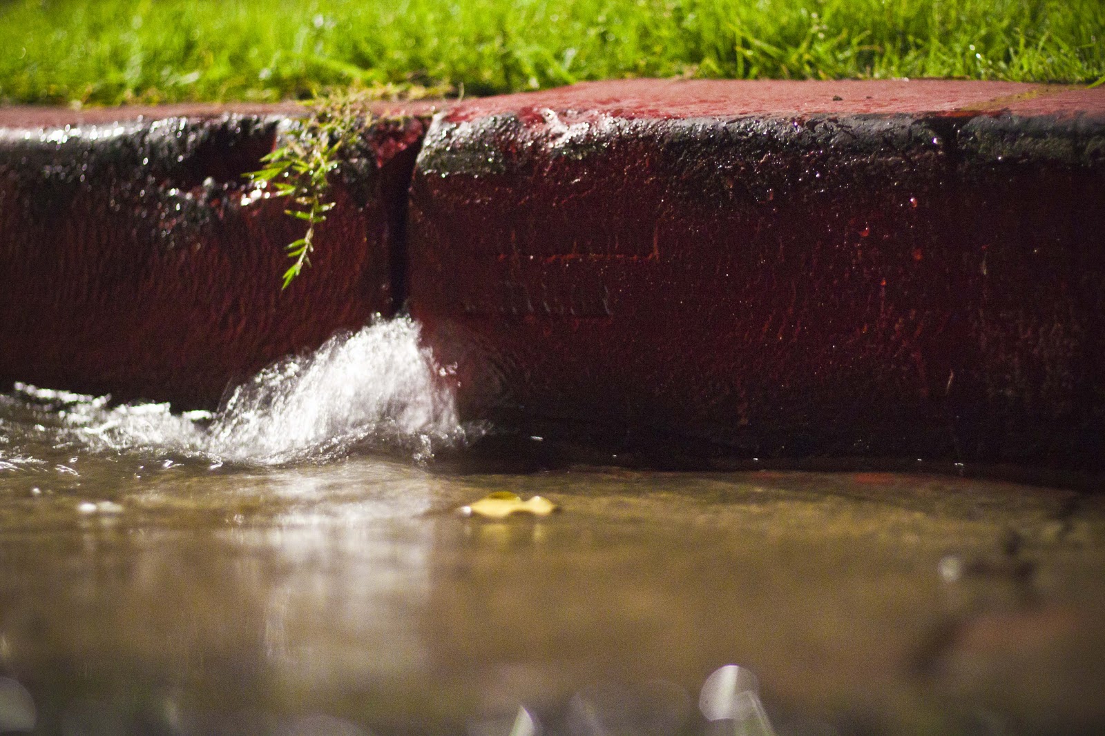 365 Photos of Twenty Eleven