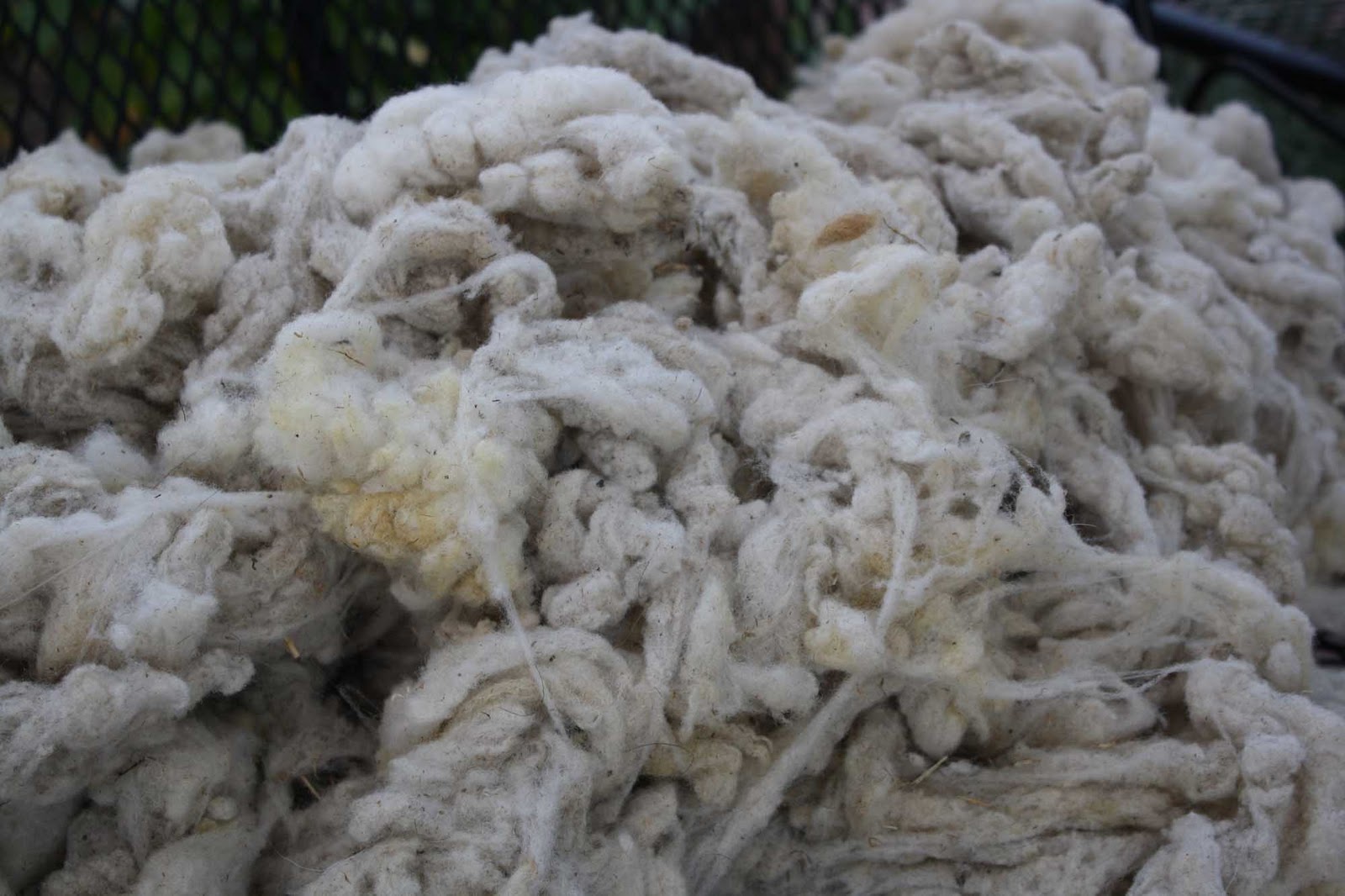 Needles of Iron: Fiber Prep Tutorial