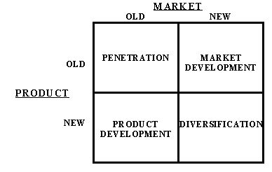 Diversification Strategy: Growth Strategies for High Tech Firms