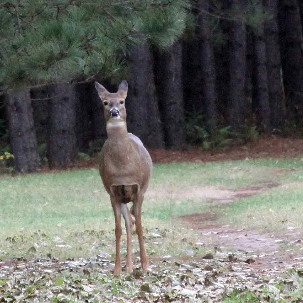 everypicturetellsastorydontit: Jesus I Almost Forgot To Post Some Pics ...