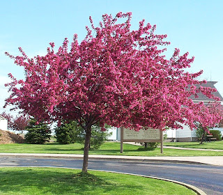 Tinker Nature Park: May 2007
