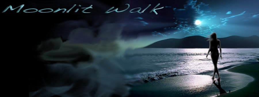 Moonlit Walk