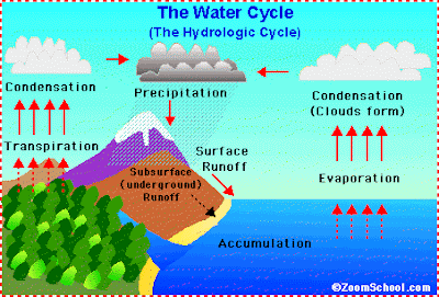 DRINKING WATER: The Water Cycle