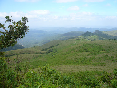 Sri Lanka Matale City
