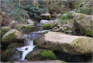 ECOSISTEMAS ACUATICOS: ECOSISTEMAS CONTINENTALES LOTICOS: RIOS Y ARROYOS