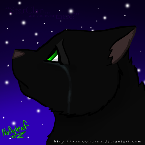 Warriors Insider: Hollyleaf: Good or Bad?