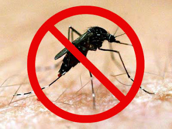 Dengue Awareness: Common Signs and Symptoms