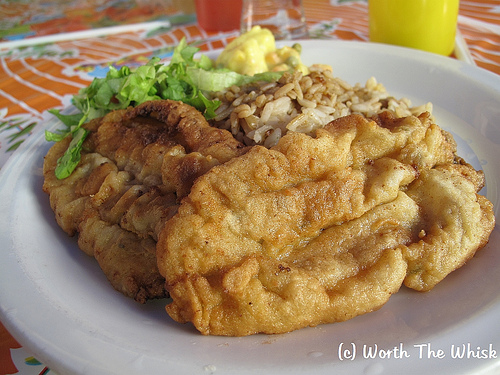 Tracey Friley's OneBrownGirl.com® - Culture. Diversity. Humanity ...