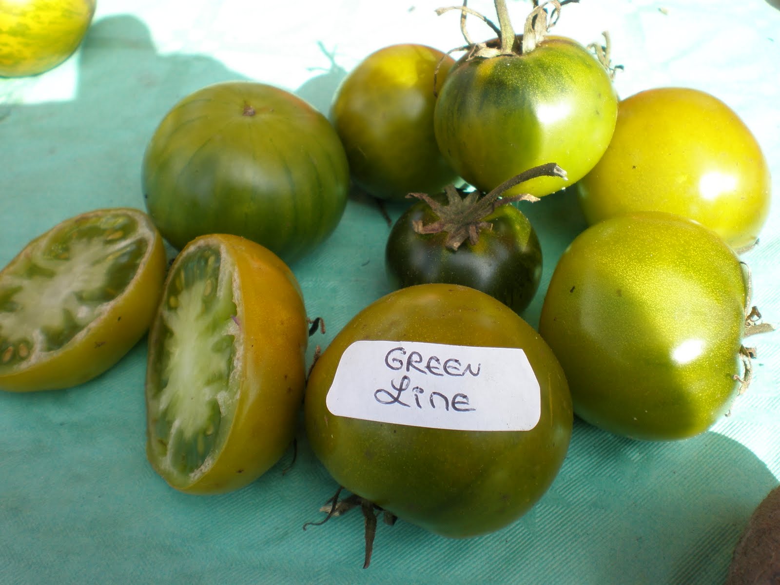 beste'nin naneleri: cam fistikli pestolu yesil, kirmizi domates ...