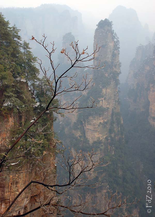 View thru My Global Lens: P is for Pinnacles