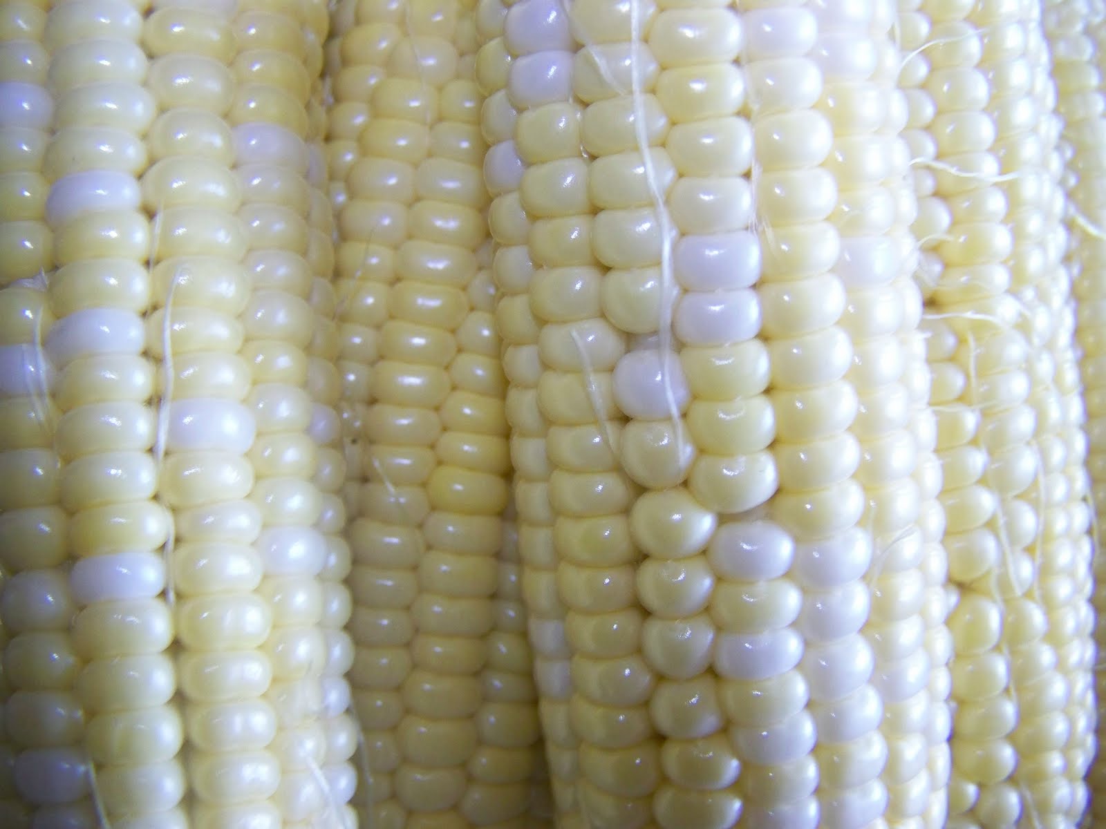 3 kids and lots of pigs: welcome to my pig pen: The first sweet corn of ...