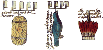 Findings From The Aztec...: Aztec Hieroglyphs cont.