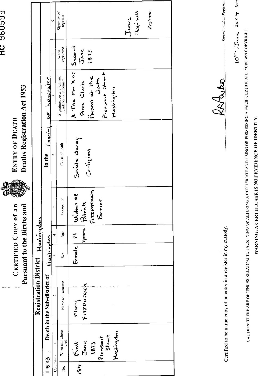 The McDermott Family Line: The Beginning of the Line: Fitzpatrick and ...