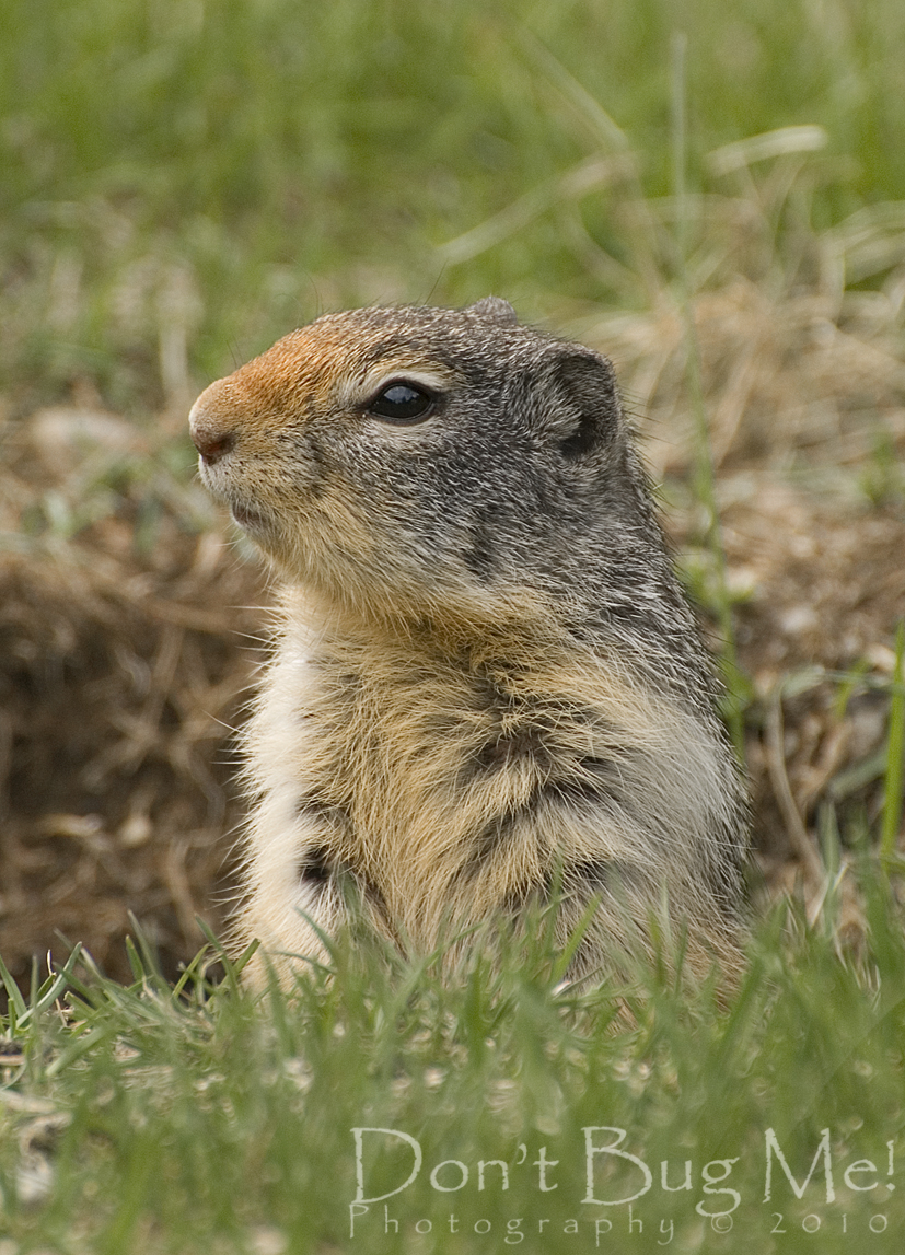 Don't Bug Me!: 01/09/2010 - 01/10/2010