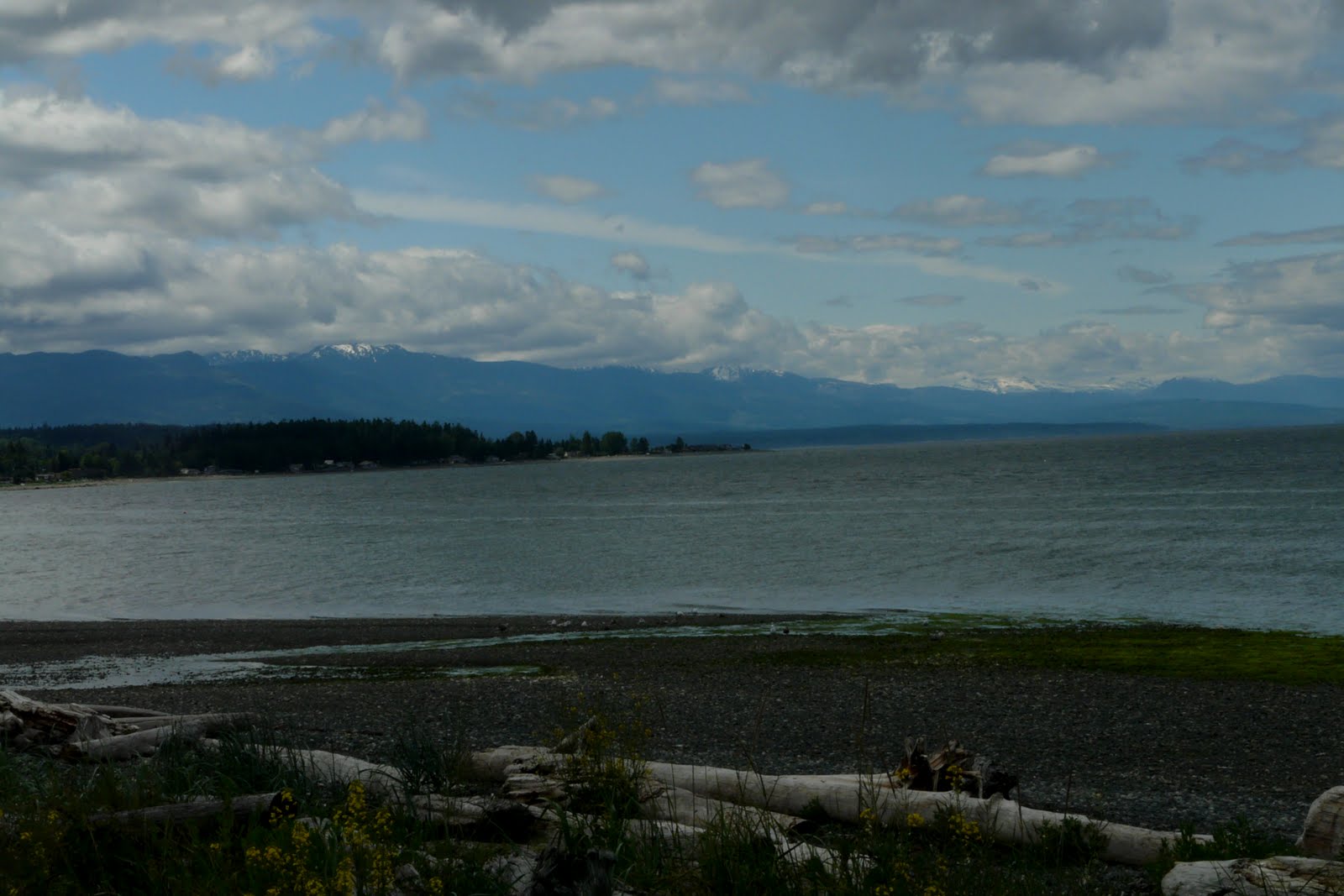 Tripping with MikenJudy 2010: COOMBS & QUALICUM BEACH, BC, CANADA