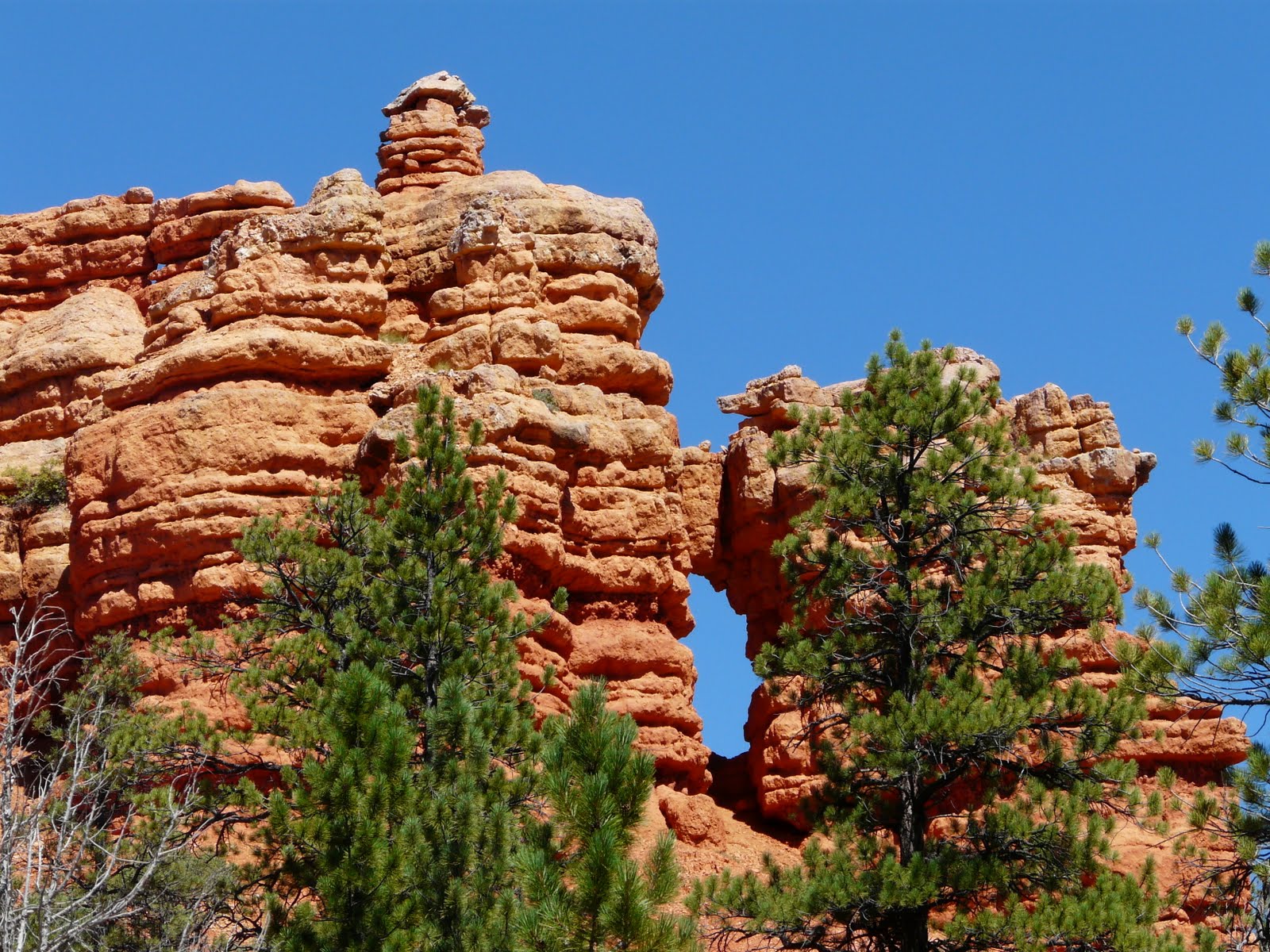 Tripping with MikenJudy 2010: RED CANYON STATE PARK & BRYCE CANYON ...