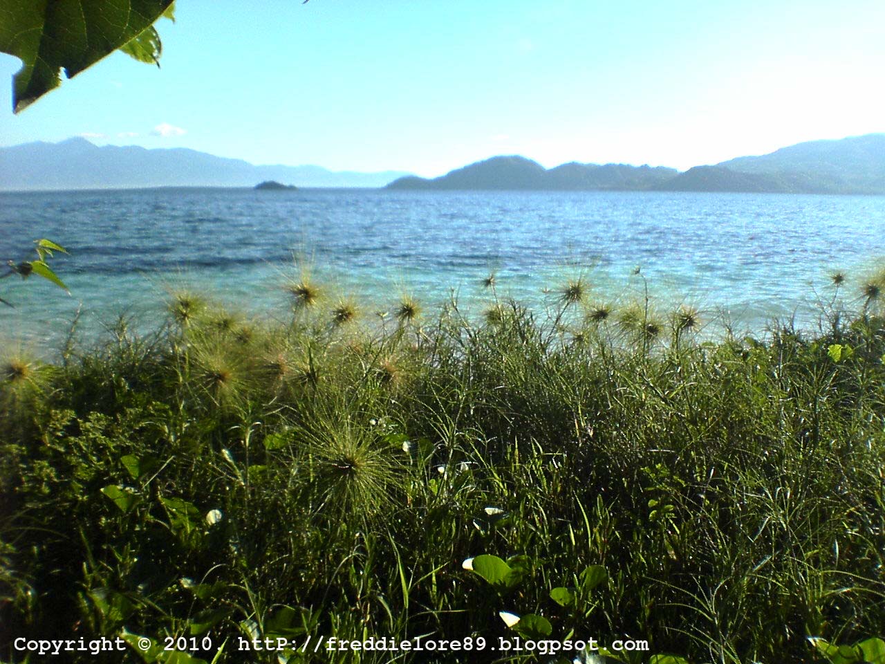 Pujada Island