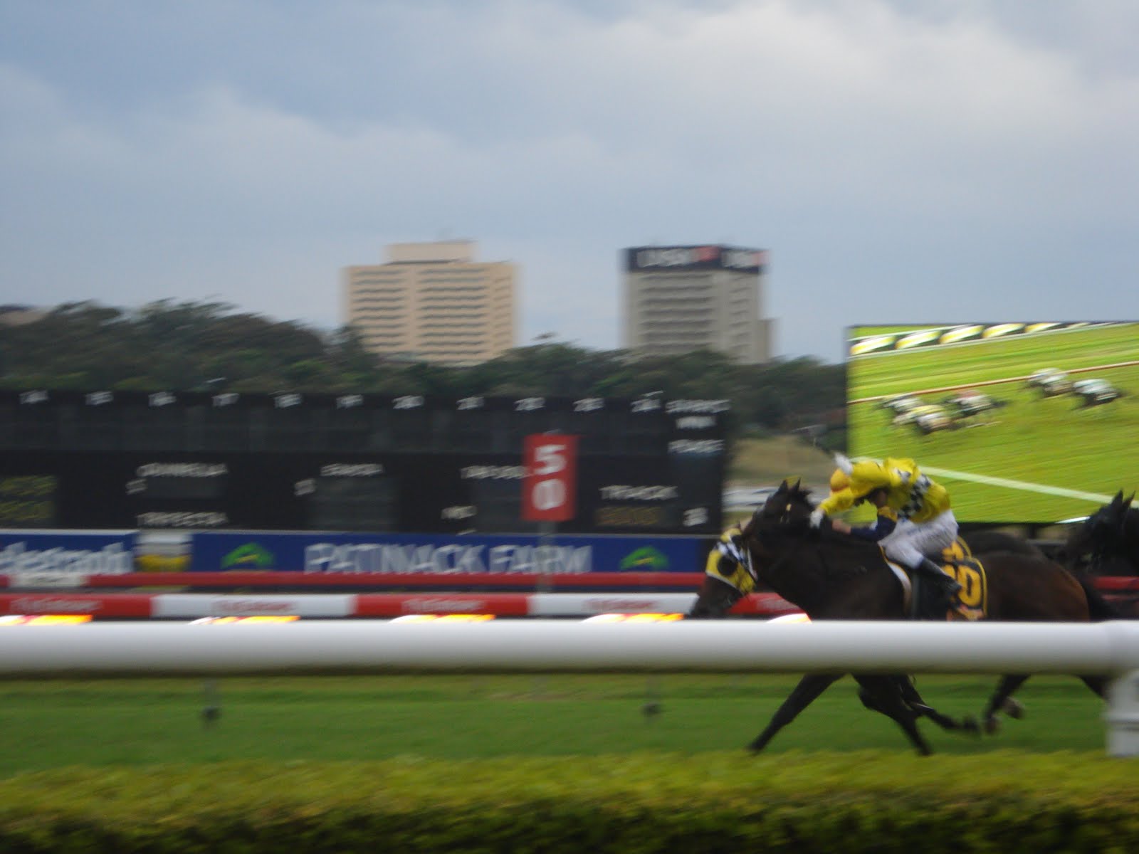 Jessie's Australian Adventure: Royal Randwick Horse Races!