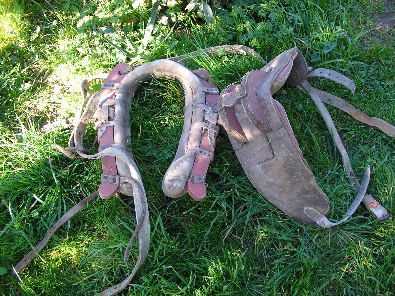 HOMENAXE AL CAMPU ASTURIANU: LA COLLERA