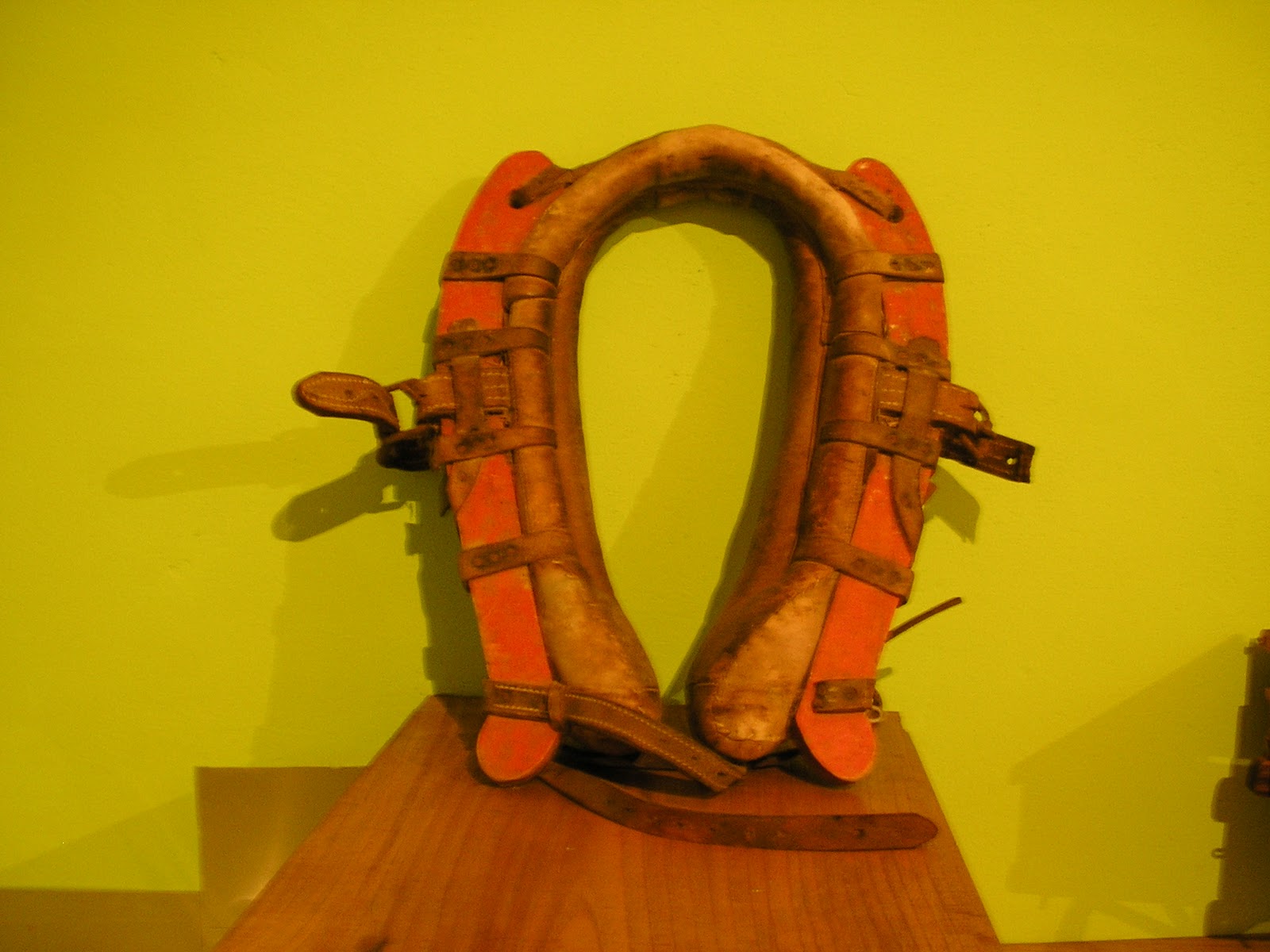 HOMENAXE AL CAMPU ASTURIANU: LA COLLERA