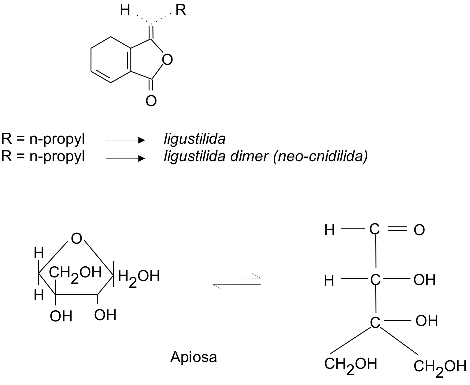 Seledri (Apium graveolens L.) ~ Lansida