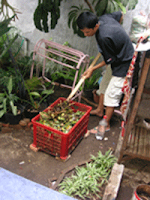 mainkan sampahmu: metode pengkomposan aerob