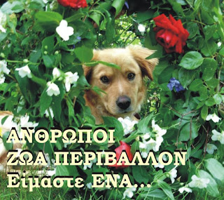 Δημιουργία-Γπ1: ΠΡΟΣΤΑΣΙΑ ΖΩΩΝ!!