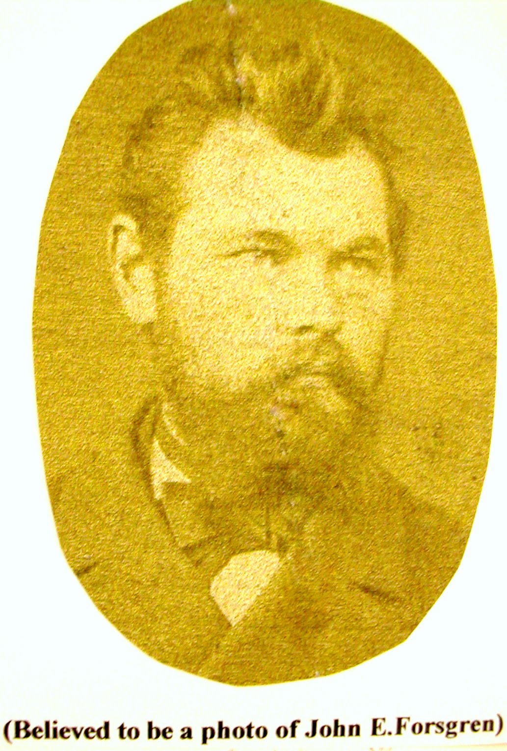 FORSGREN John Erik & Descendants: April 2010