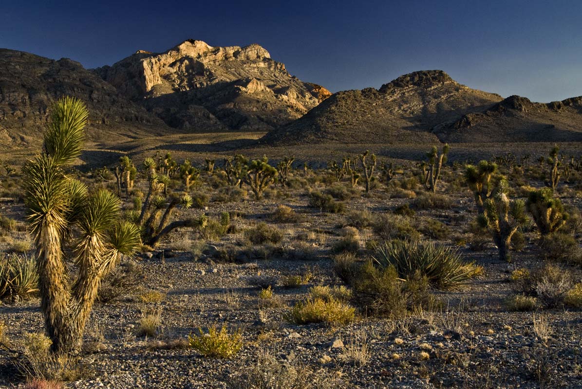 Southern Nevada Outside: Rockin' the Refuge
