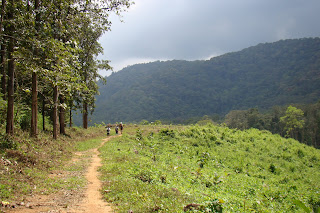 Photos - Free Photo Gallery Blog: Forest way to Sabarimala in Erumeli