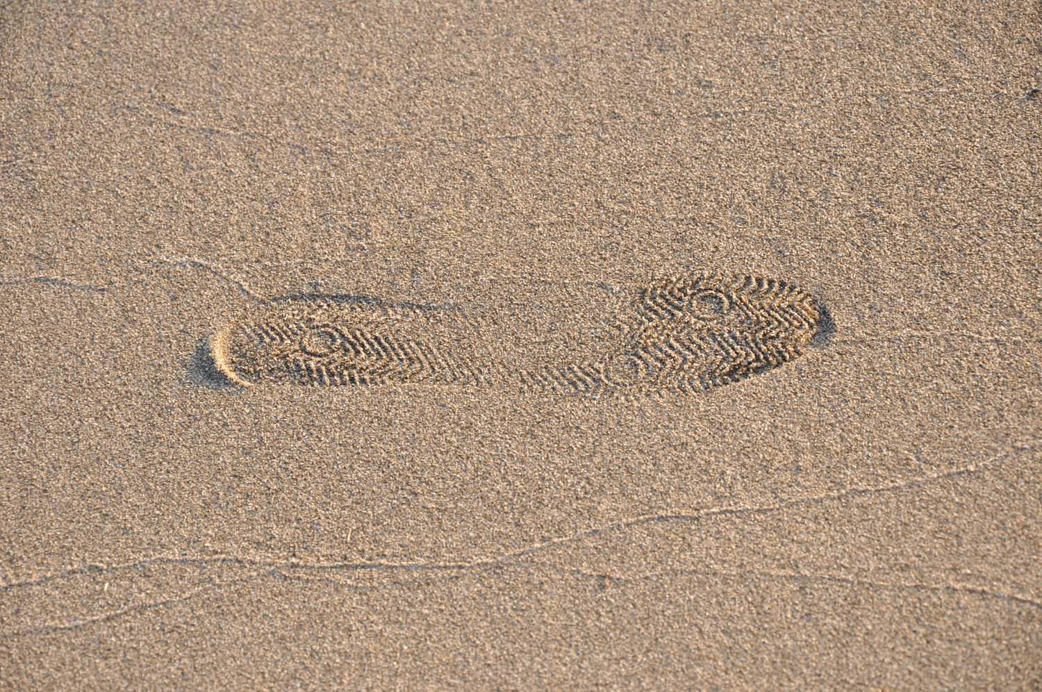 LE MAXIMUM: Traces de pas sur sable de plage - photos et fond d'écran ...
