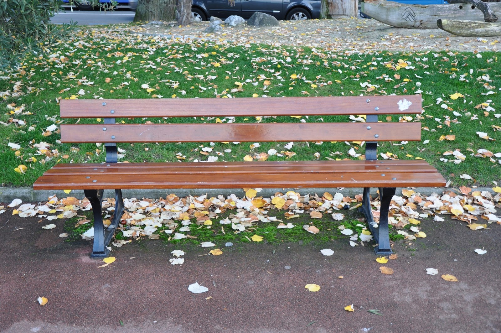 LE MAXIMUM: Bancs dans le parc - photos et fond d'écran gratuits