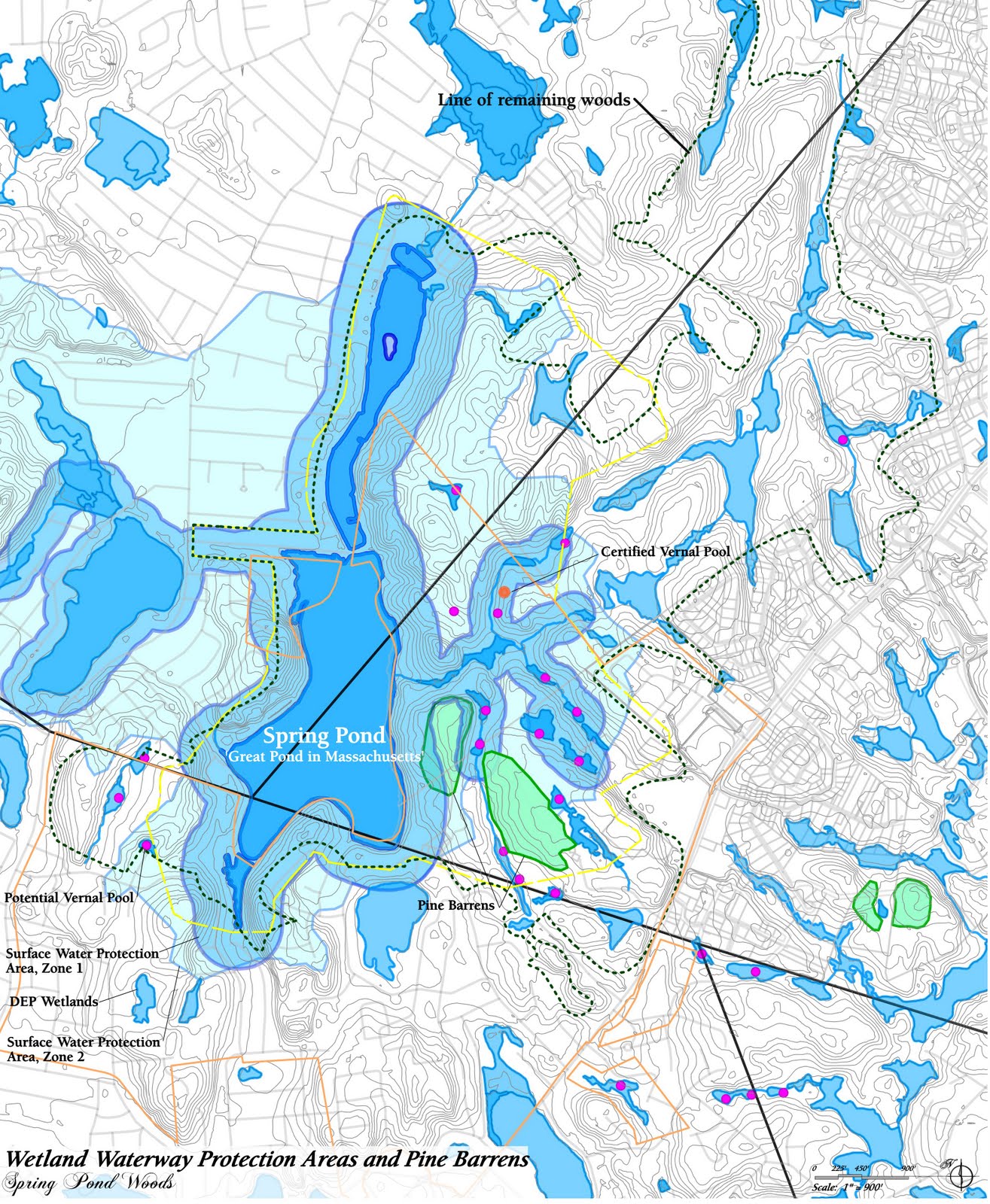 Spring Pond Woods: Maps
