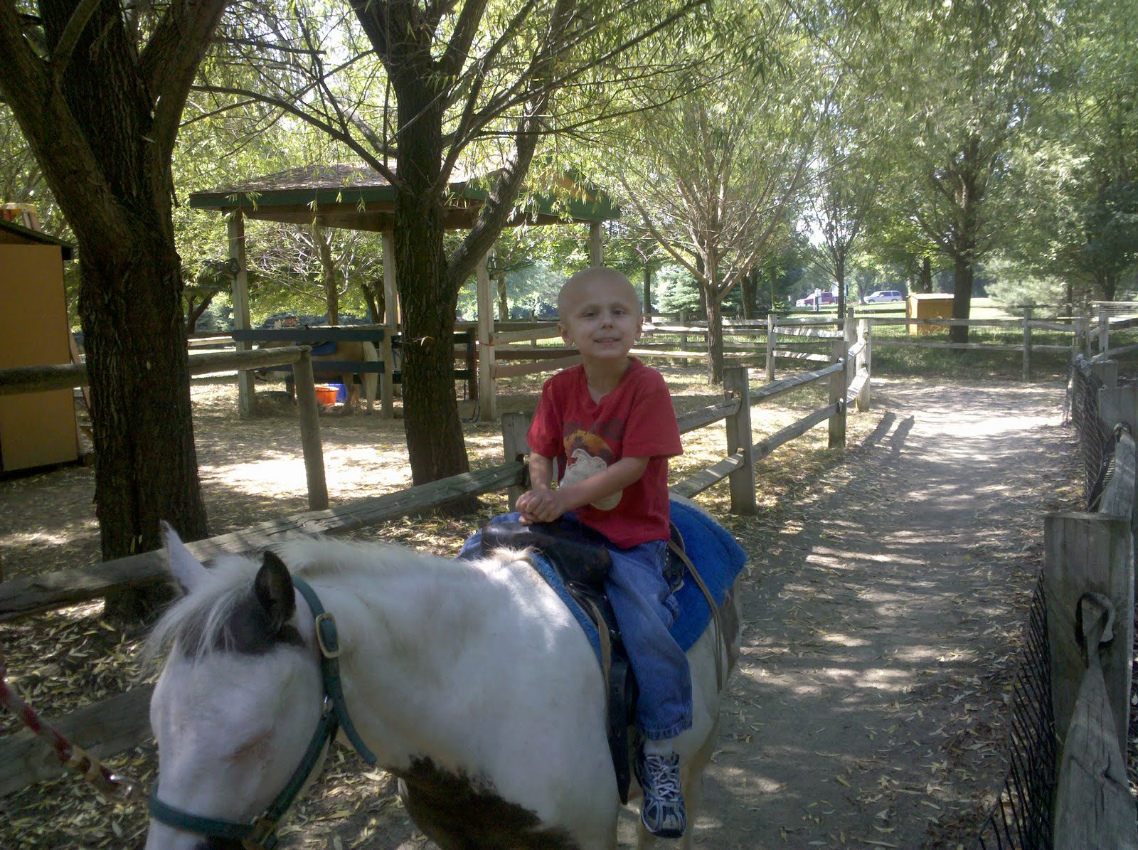 Brody's Mom & Dad Blog: Brody enjoying a pony ride at the African ...