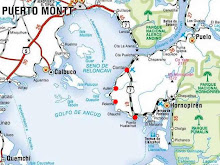 Cabaña Hornopirén: Cabaña Al Sur Del Mundo