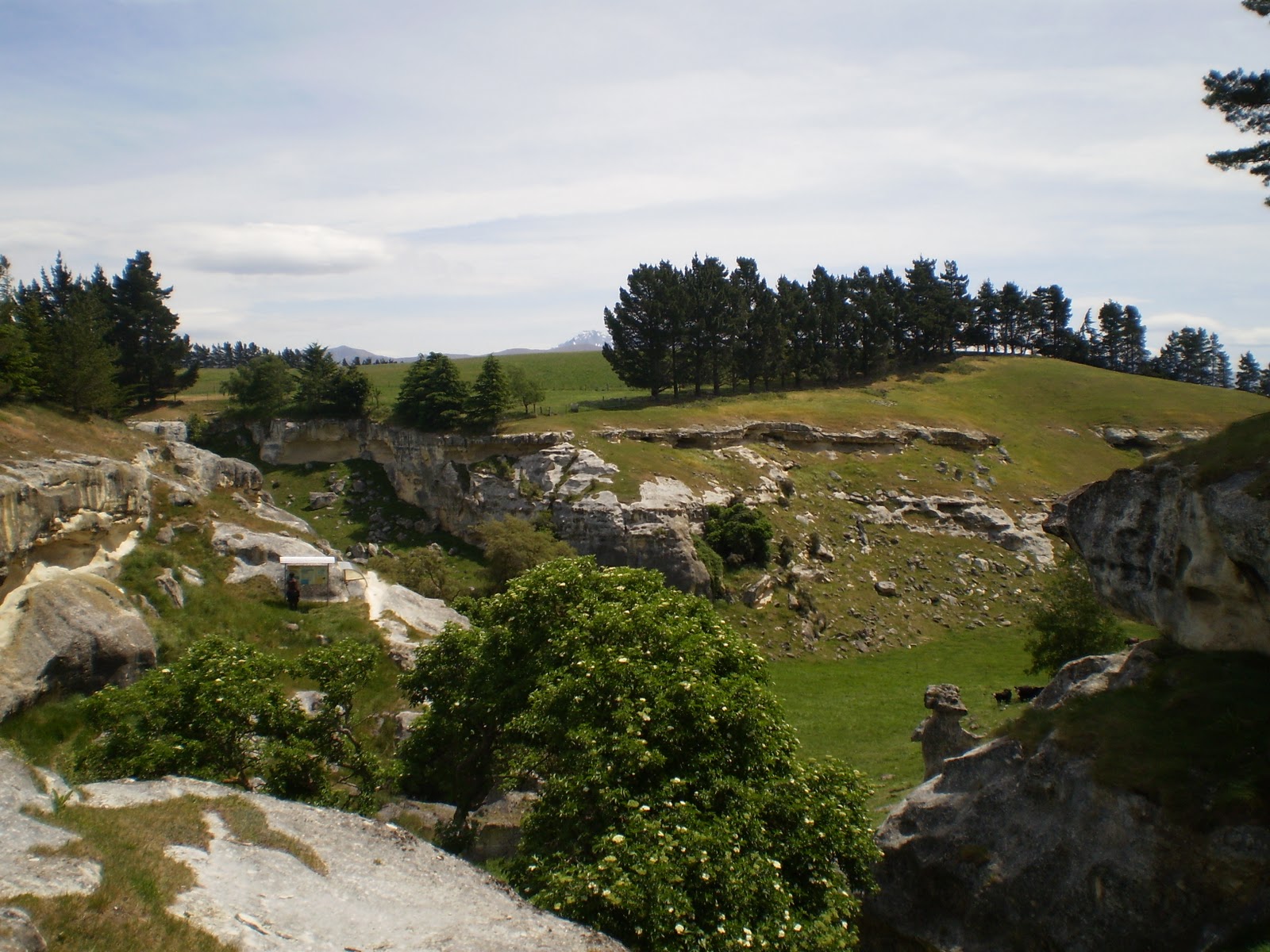 Richard and Christine's Amazing Journeys: Narnia and Elephant rocks