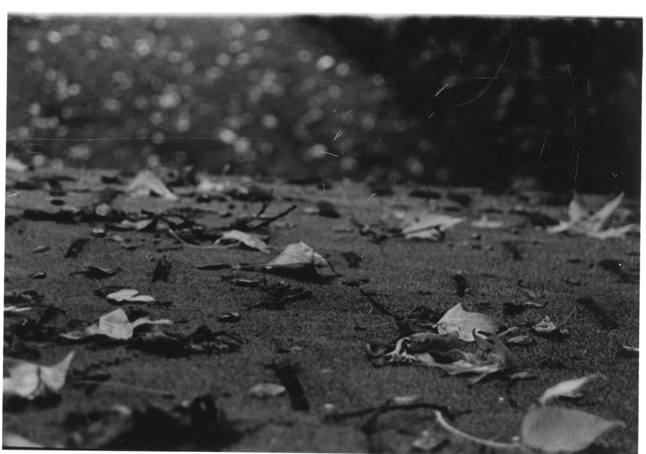 Sterling s Photography Blog Adjective Project Dreary sterling-s-photography-blog-adjective-project-dreary