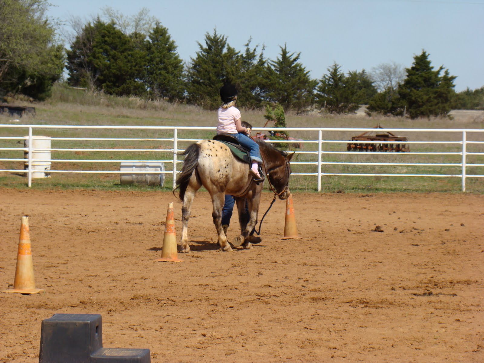 Travel with Us: Horseback Riding Lessons Again