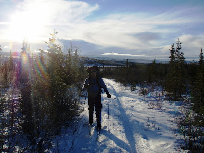 Liven' the Dream in AK: Taken' a Trip Out To The Magic Bus